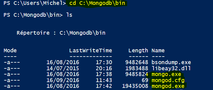 Mongo Db No Sql Not Only Sql Tutoriels Et Cours 3032